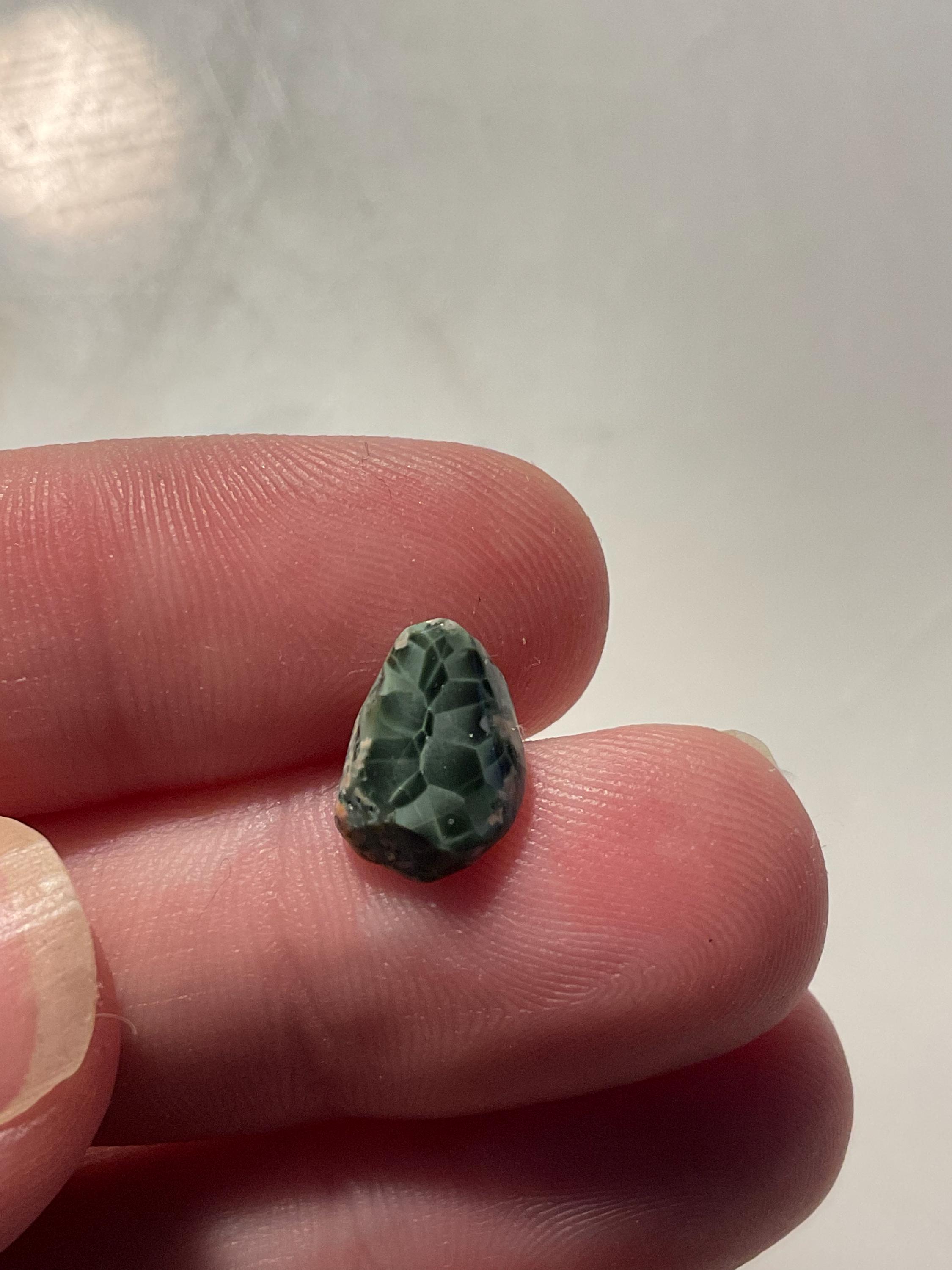 Isle Royale Greenstone, Chlorastrolite, Polished Gem, Rare Inclusions ...