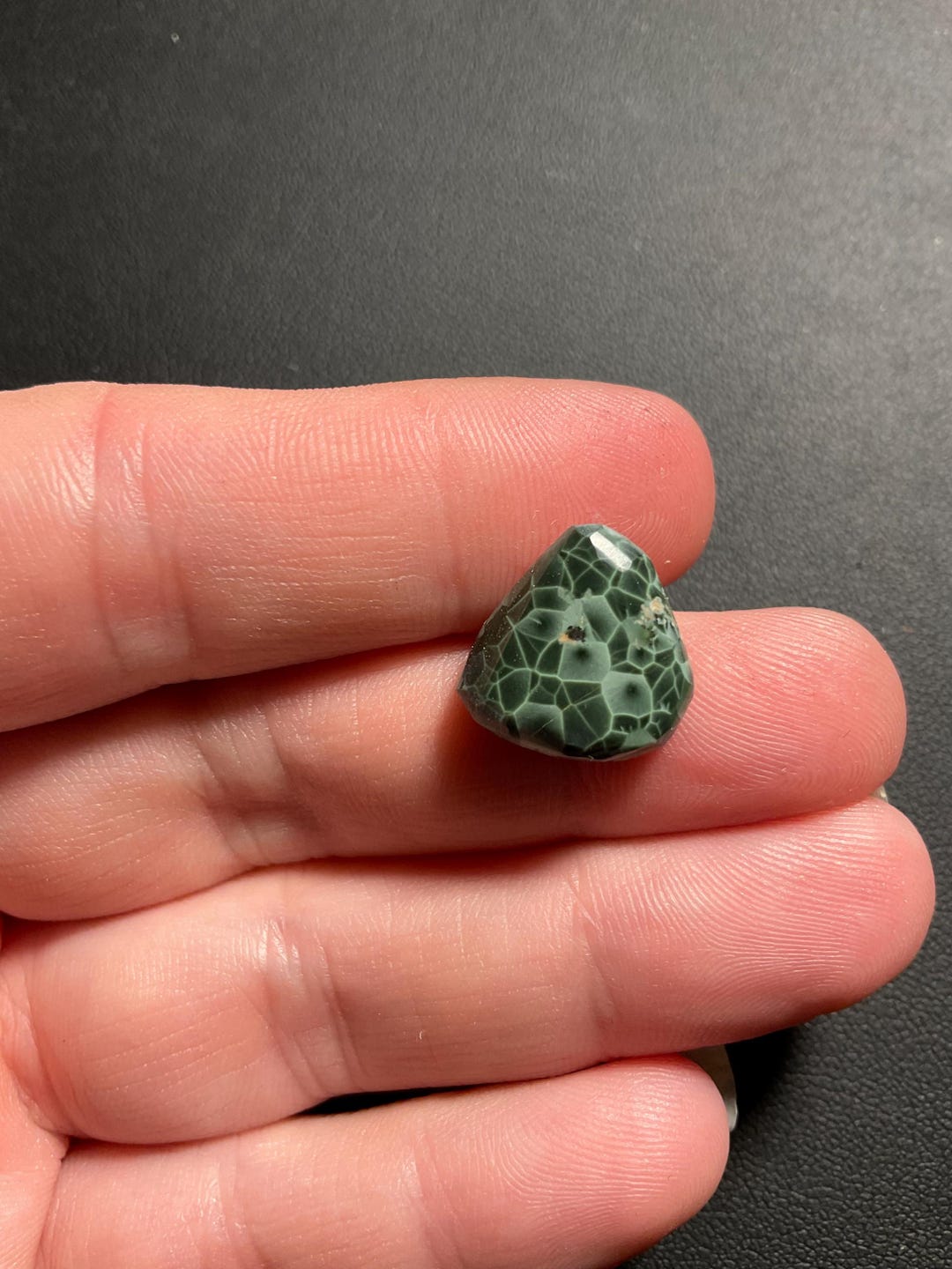 Isle Royale Greenstone Chlorastrolite Gem RARE Color Polished Amazing ...