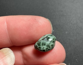 Isle Royale Greenstone, Chlorastrolite, Gem, RARE Color, Polished ...