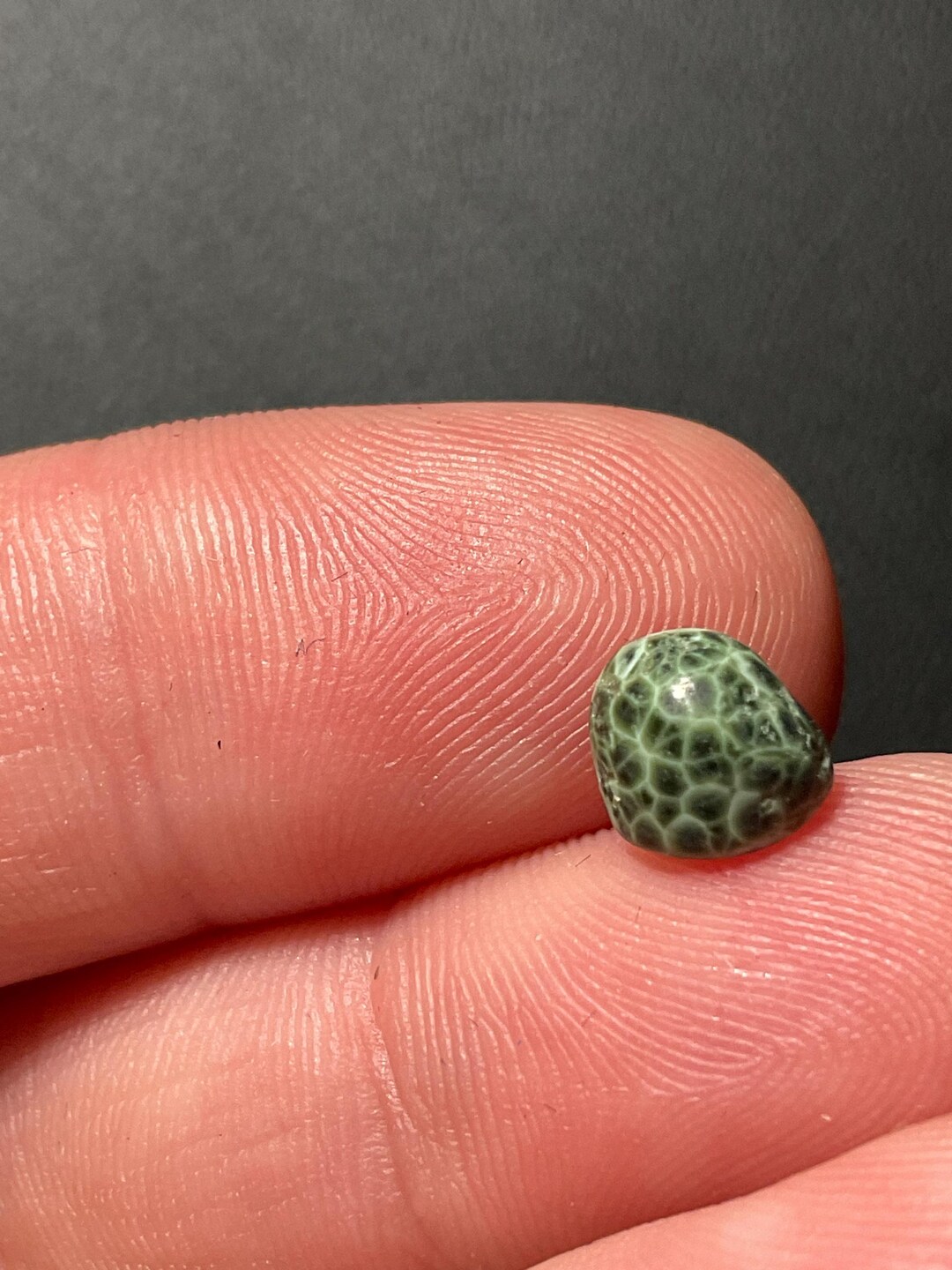 Isle Royale Greenstone Chlorastrolite Gem RARE Color Polished Amazing ...