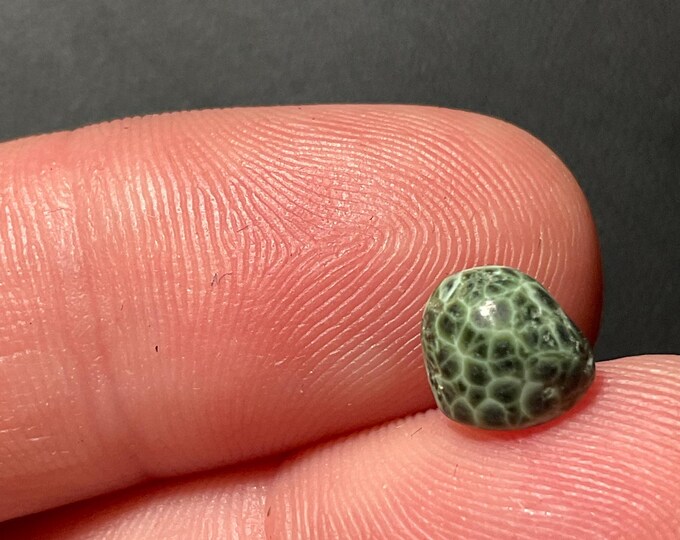 Isle Royale Greenstone Chlorastrolite Gem RARE Color Polished Amazing ...