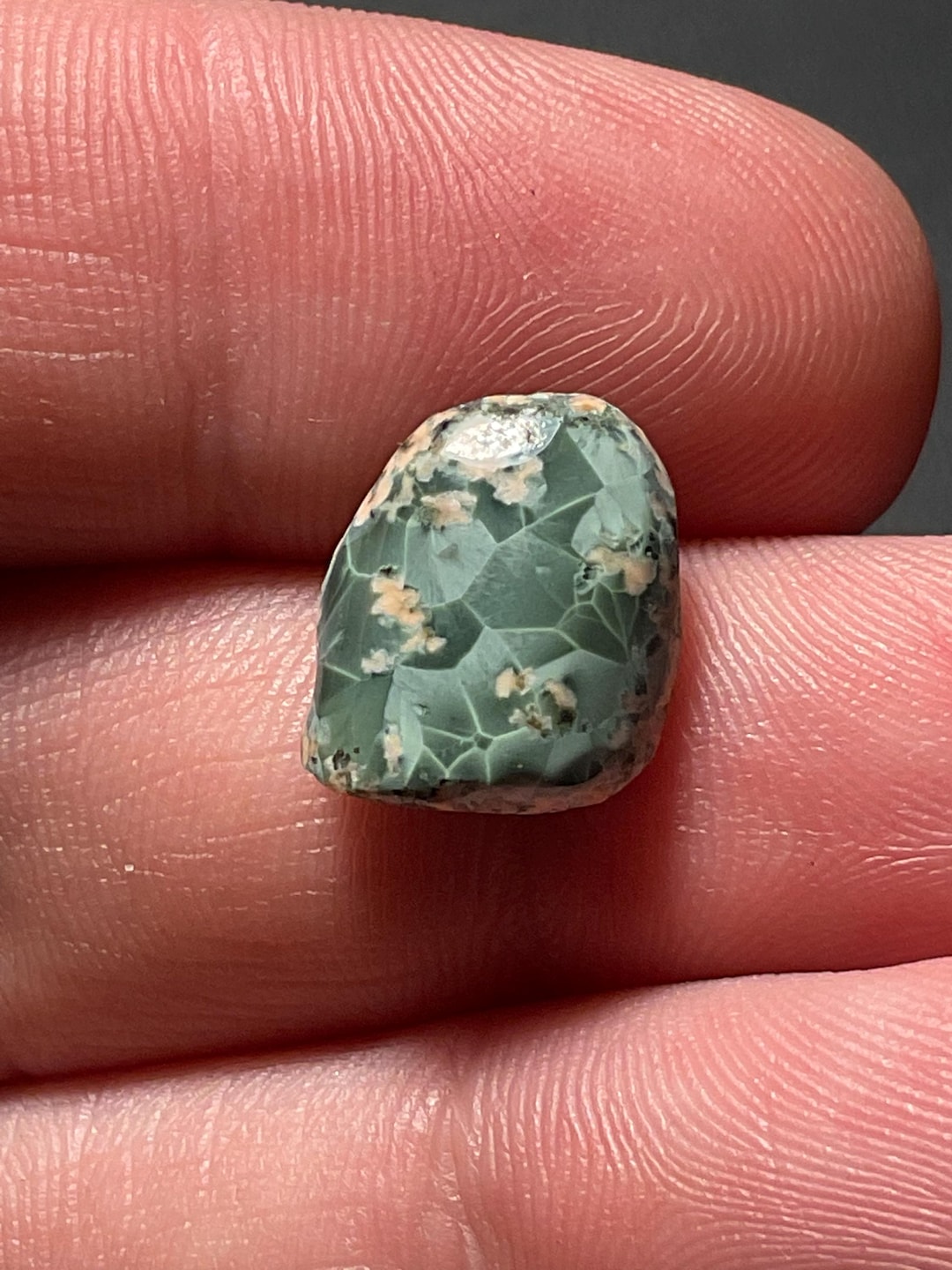 Isle Royale Greenstone Chlorastrolite Gem RARE Polished Amazing ...