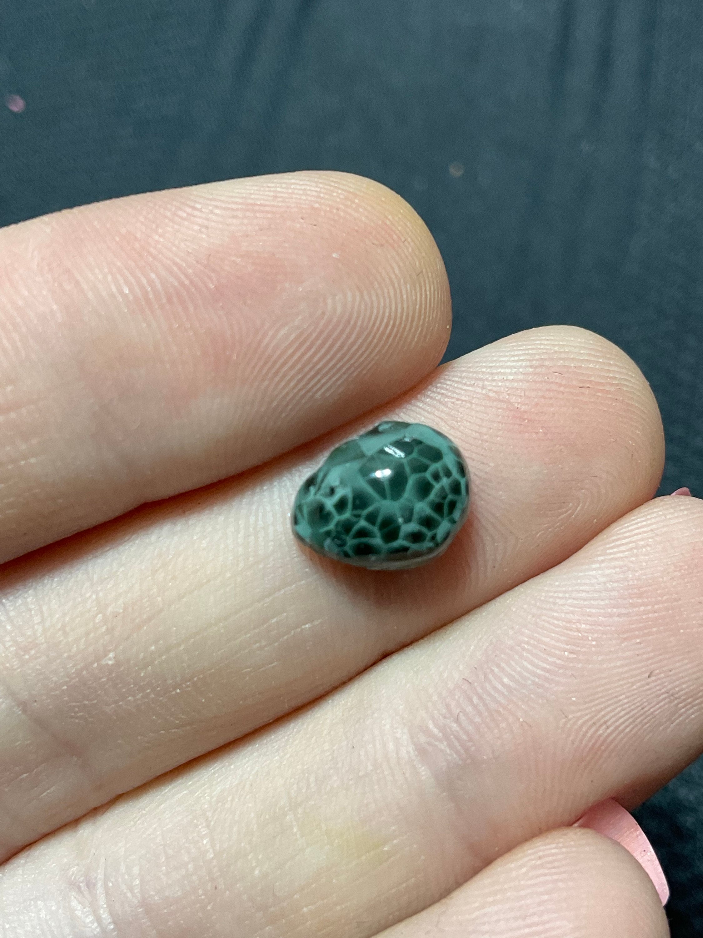 Isle Royale Greenstone Chlorastrolite Gem RARE Color Polished Amazing ...