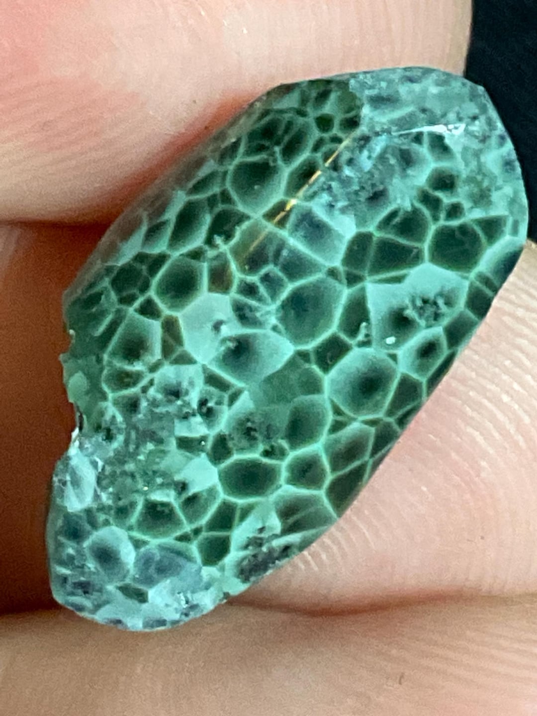 Isle Royale Greenstone Chlorastrolite Gem RARE Polished Amazing ...