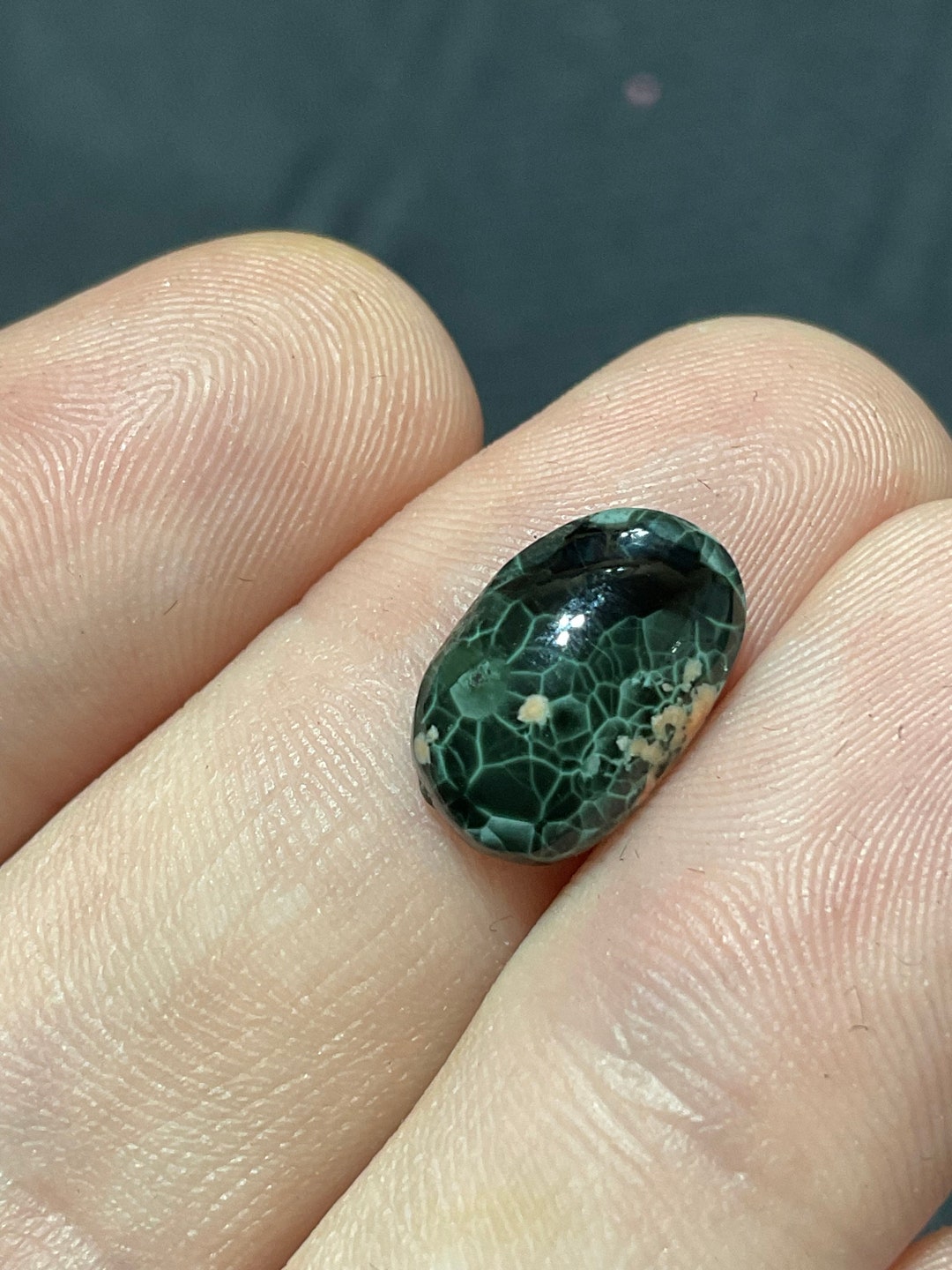 Isle Royale Greenstone Chlorastrolite Gem Large RARE Color Polished ...