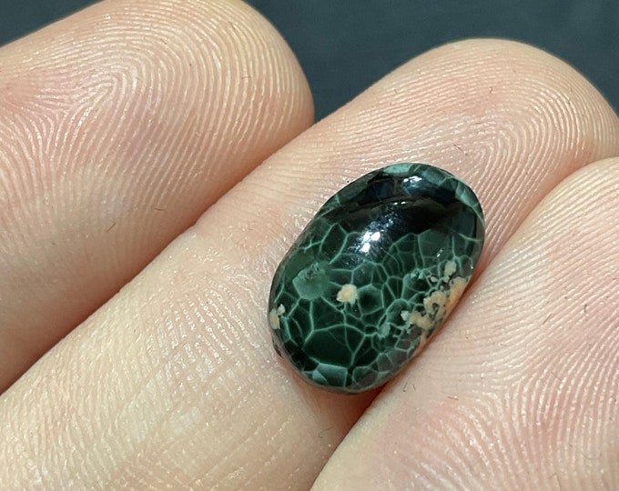 Isle Royale Greenstone Chlorastrolite Gem Large RARE Color Polished ...