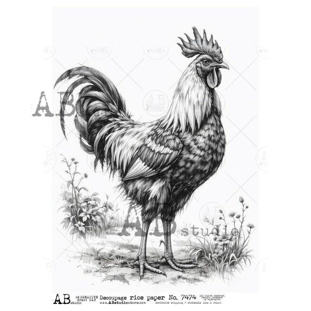 A4 Heirloom Rooster Decoupage Rice Paper 8.27 X 11.7 (AB Studio ID-7474 ...