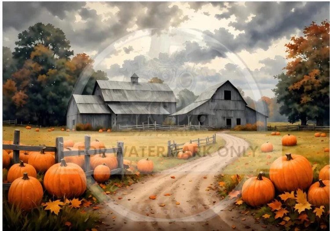 A3 Pumpkin Patch Path Decoupage Rice Paper 11.7 X 16.5 (DC5088) - Etsy