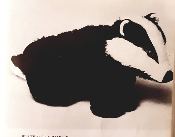PDF Sewing Pattern Badger Woodland Animal Soft Toy Doorstop | Etsy