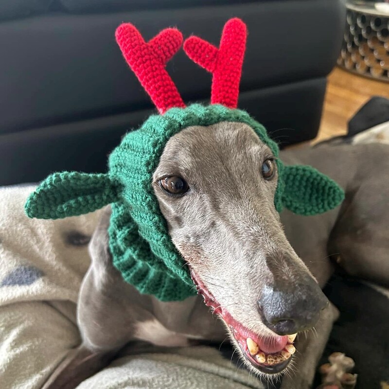 Greyhound Snood - Etsy