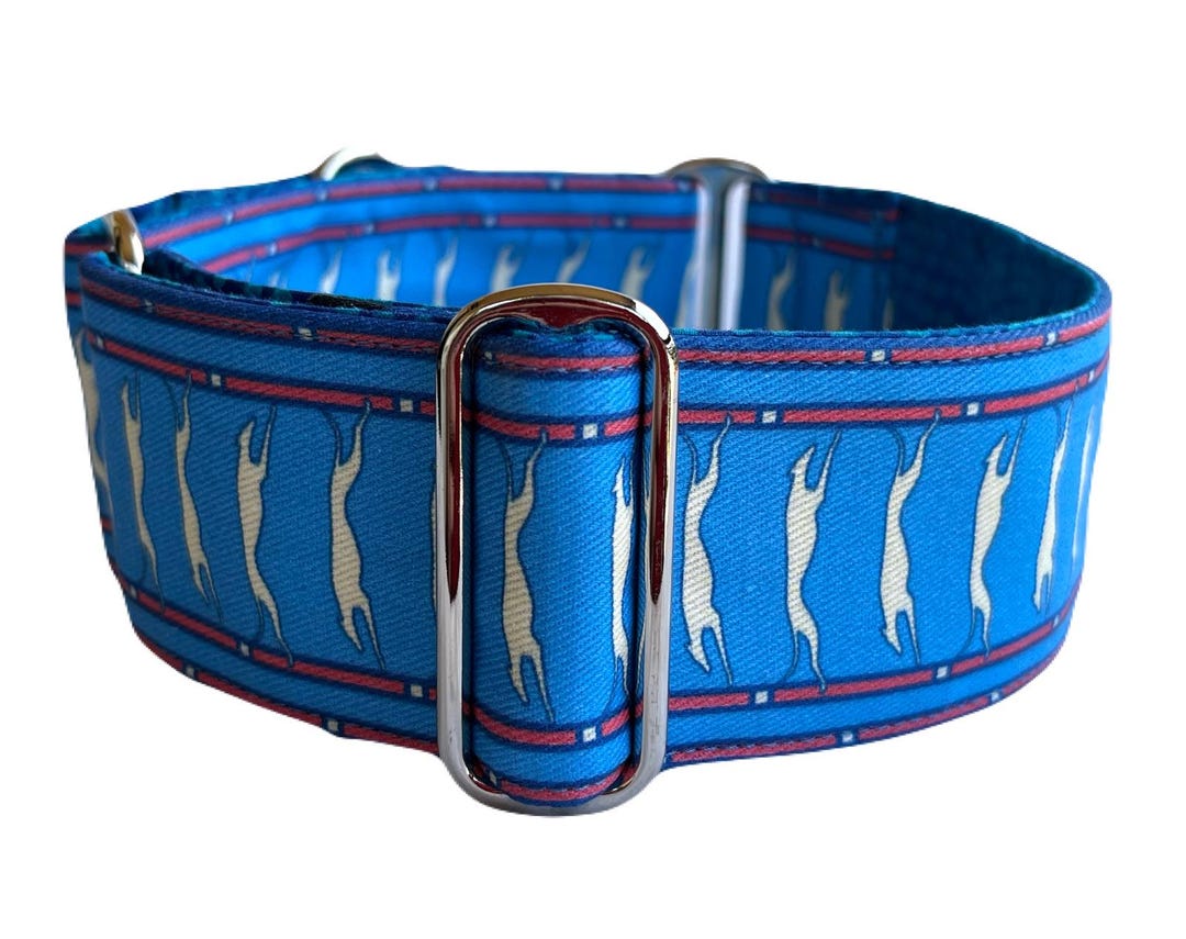 Martingale Collar, Hound Collection, 1.5” or 2” Dog Collar, Leads ...