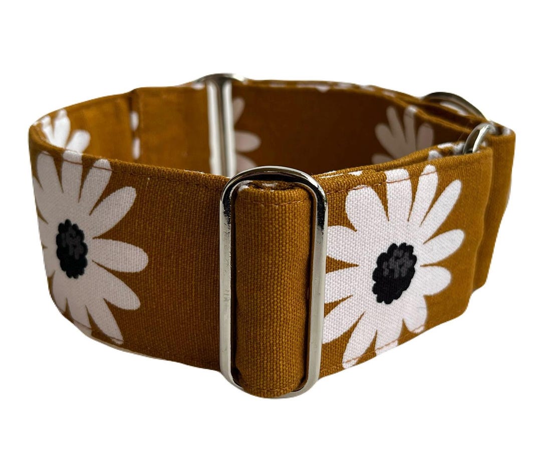Martingale Dog Collar, 1.5 or 2” Wide, House Collar & Lead Sets ...