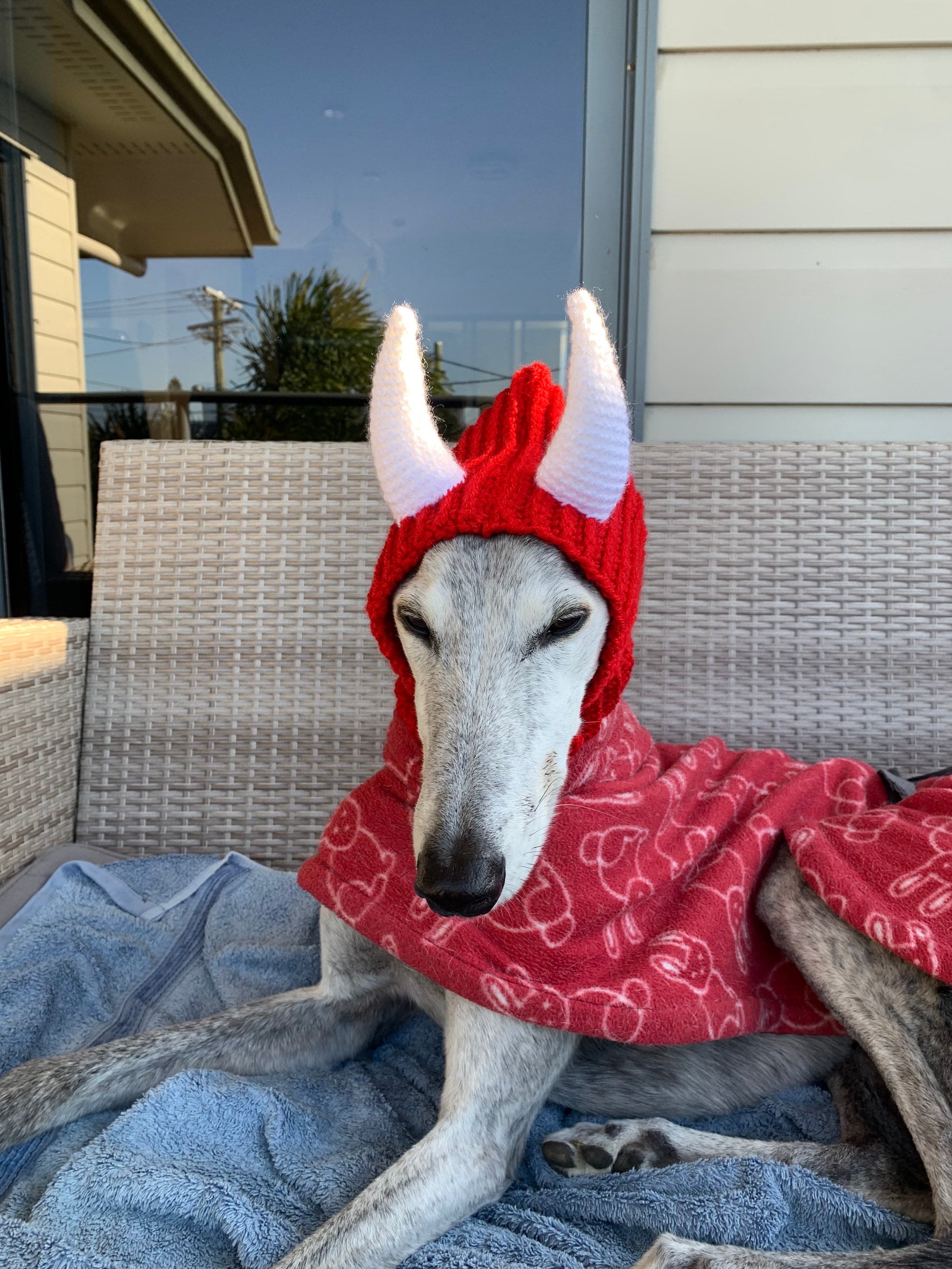 Hellhound Dog Costume