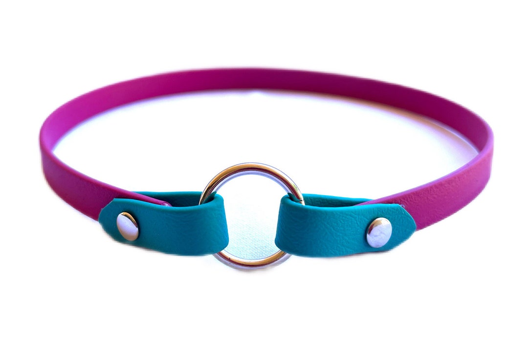Biothane ID Tag Collar, House Collar, Vegan Leather Pet Collar, Thin ...