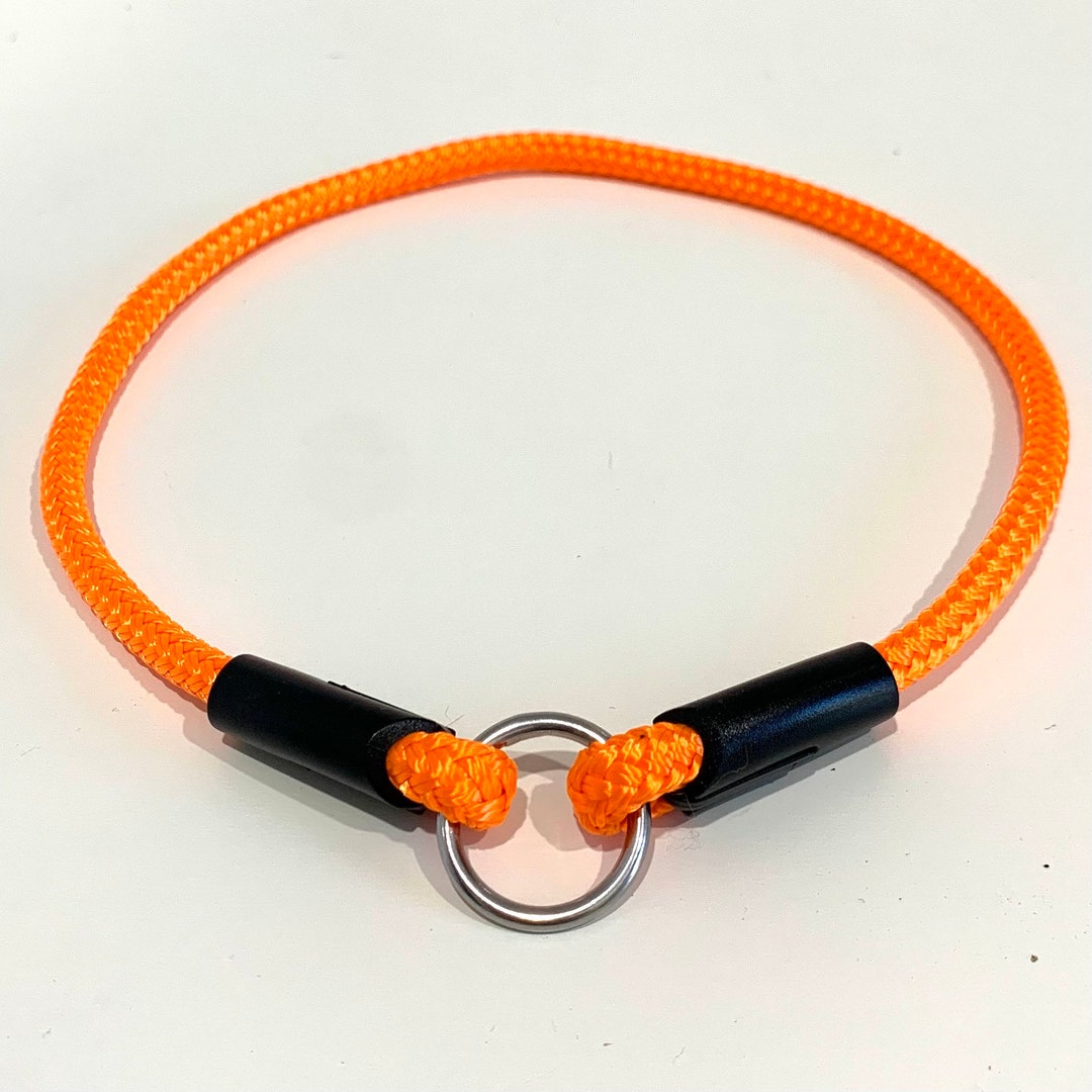 House Collar, ID Tag Collar - Orange - Etsy