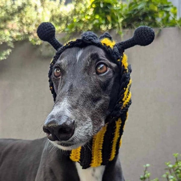 Greyhound Snood - Etsy