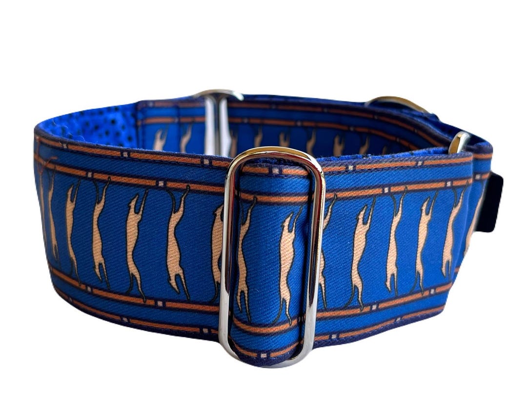 Martingale Collar, Hound Collection, 1.5” or 2” Dog Collar, Leads ...