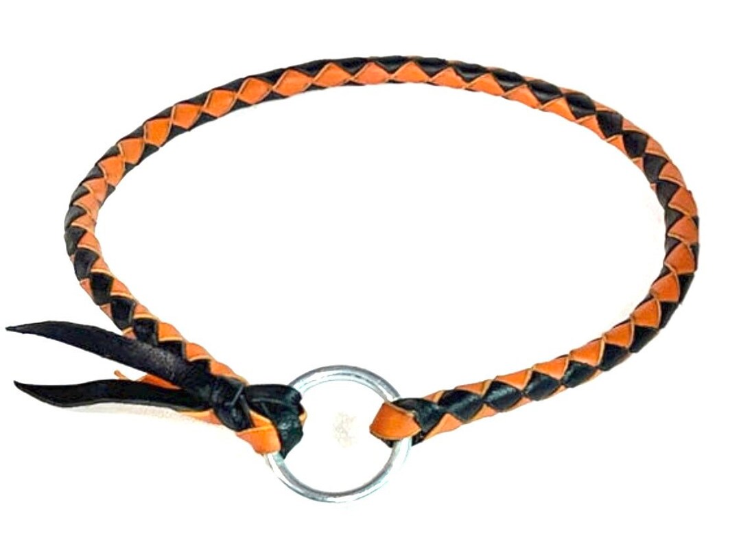 Braided Kangaroo Leather Greyhound House Collar ID Collar, Tag Collar ...