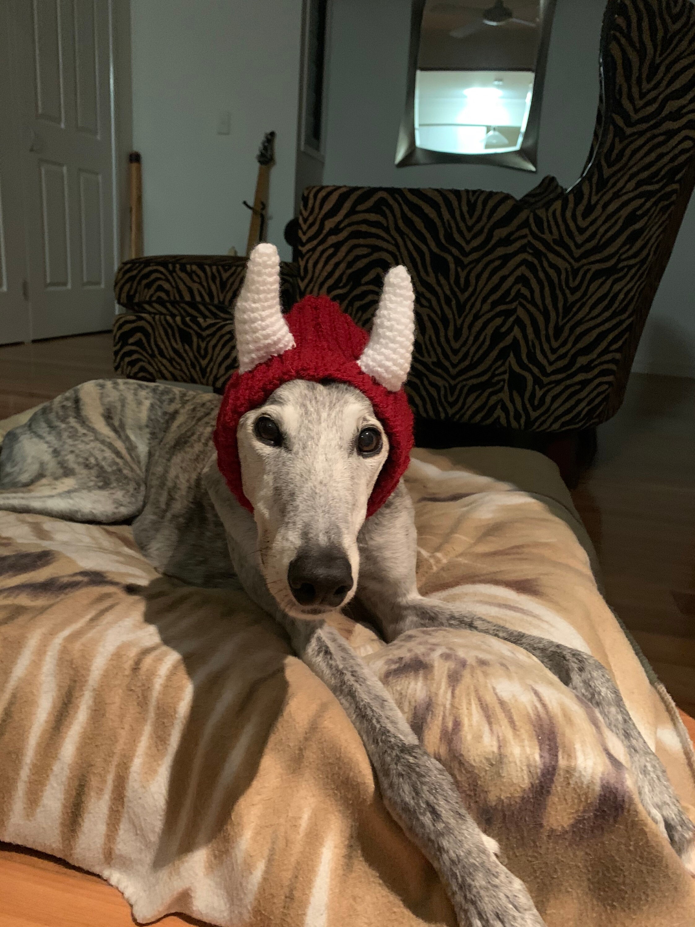 Hellhound Dog Costume