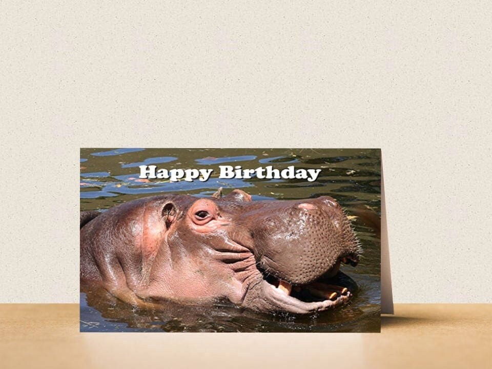 Happy Birthday: Hippo Card. Printable Digital Photo Card Download ...