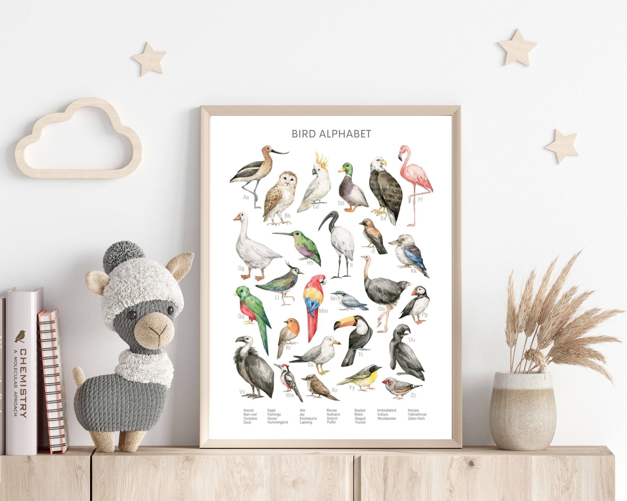 Children's Wall Art Bird Alphabet Poster Birds Poster - Etsy