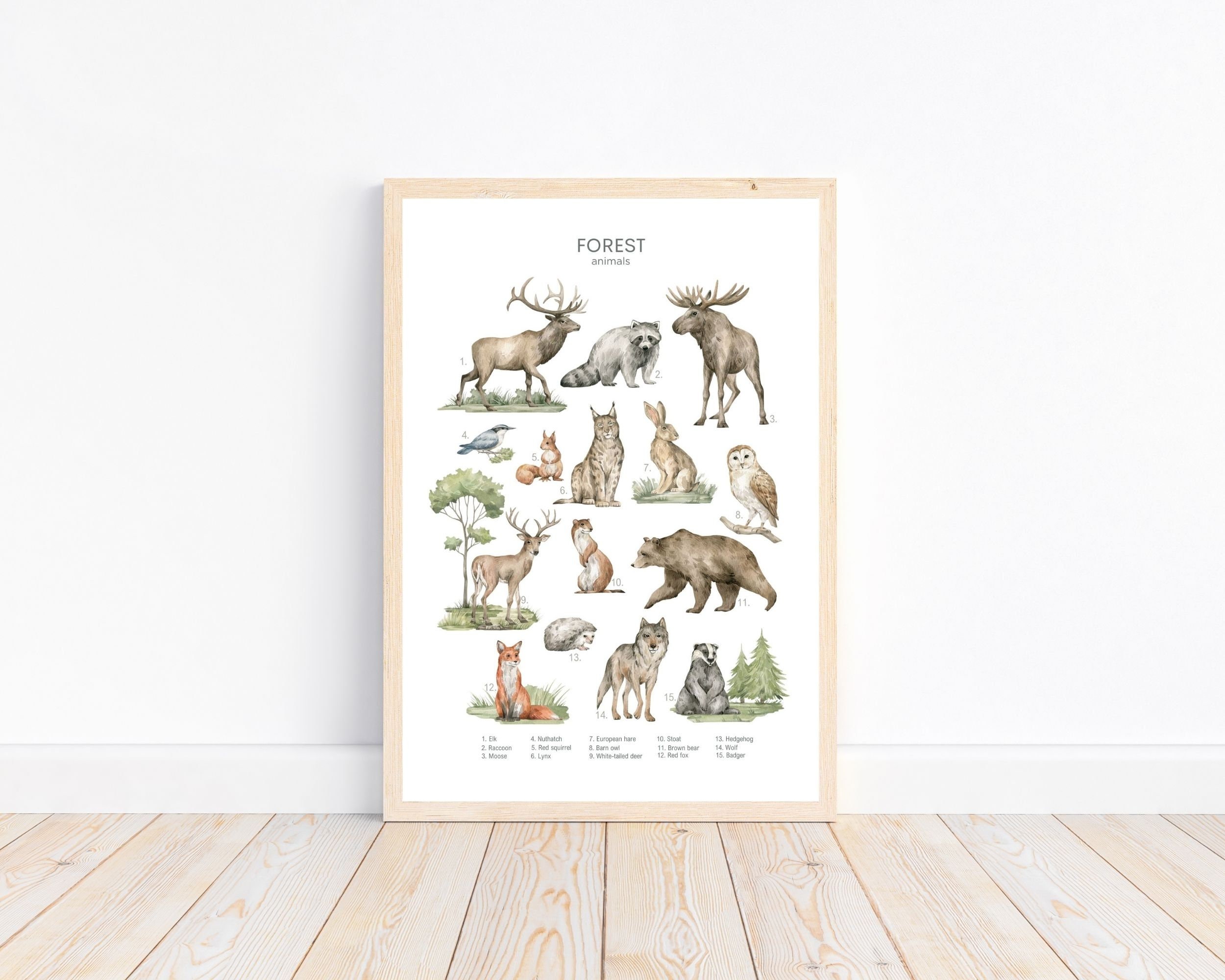 Children's Wall Art, Set of 8, Arctic Animals, Ocean Life, Woodland ...