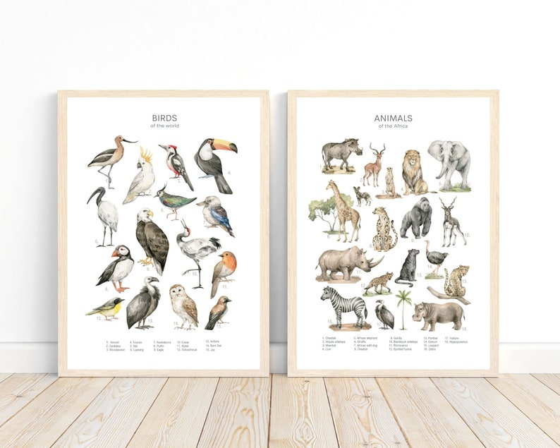 Children's Wall Art, Set of 8, Arctic Animals, Ocean Life, Woodland ...