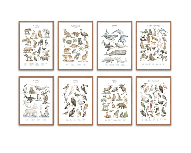 Children's Wall Art, Set of 8, Arctic Animals, Ocean Life, Woodland ...