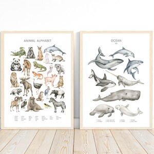 Children's Wall Art, Set of 8, Arctic Animals, Ocean Life, Woodland ...