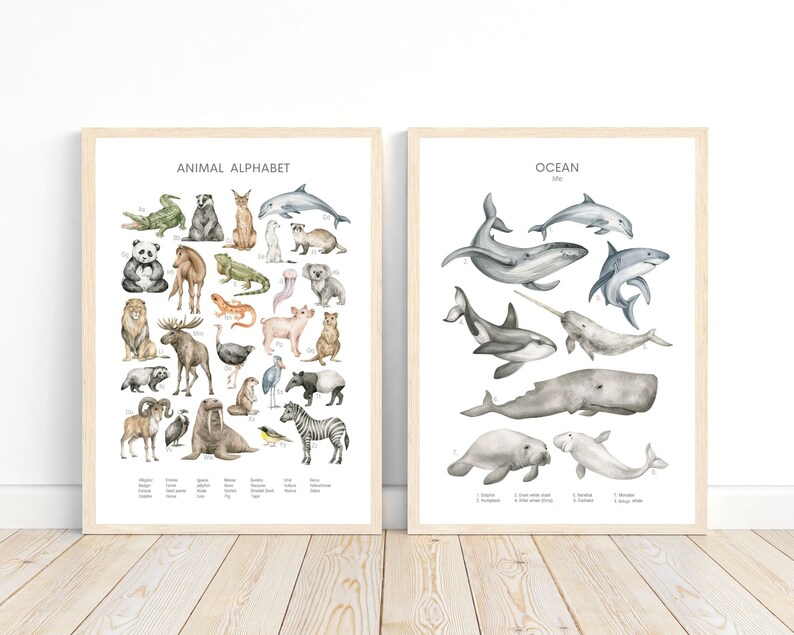 Children's Wall Art, Set of 8, Arctic Animals, Ocean Life, Woodland ...