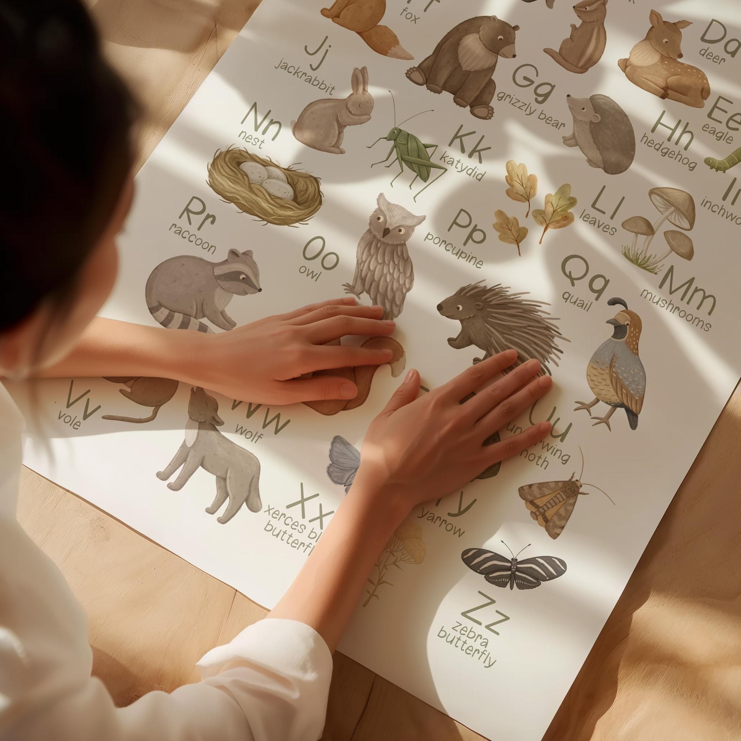Woodland Alphabet and Numbers Prints: Nursery Decor, Set of 2, Forest ...
