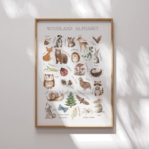 Woodland Alphabet and Numbers Prints: Nursery Learning Art (set of 2 ...