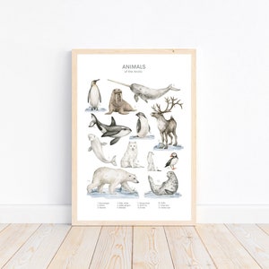 Children's Wall Art, Animals of the Arctic Poster, Animal Poster ...