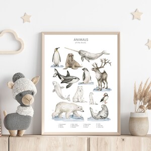Children's Wall Art, Animals of the Arctic Poster, Animal Poster ...