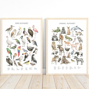 Children's Wall Art, Set of 8, Arctic Animals, Ocean Life, Woodland ...