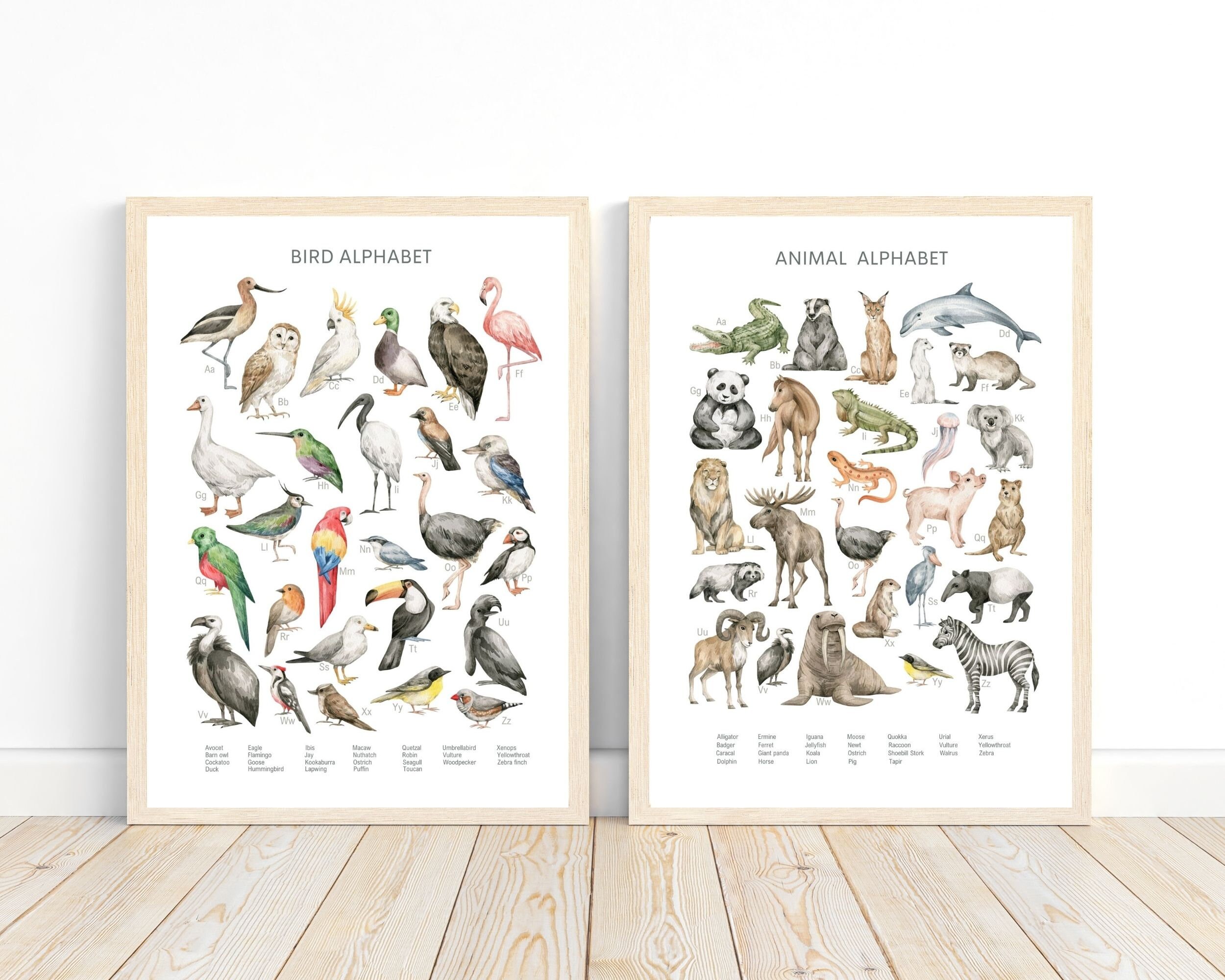 Children's Wall Art, Set of 8, Arctic Animals, Ocean Life, Woodland ...