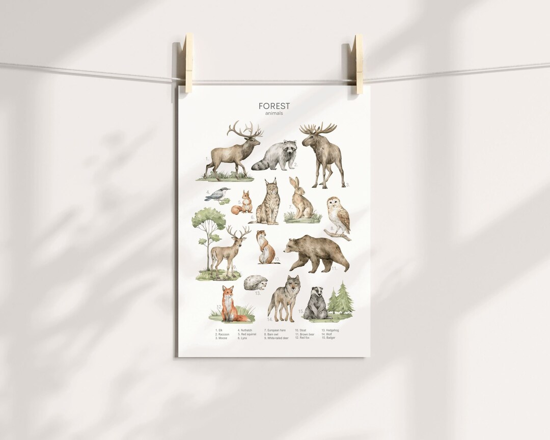 Children's Wall Art Forest Animals Poster Animals - Etsy