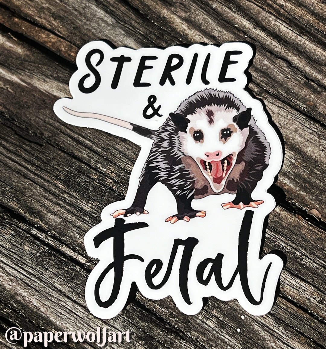 Sterile and Feral Sticker | Opossum Decal | Feral Life | Childfree ...