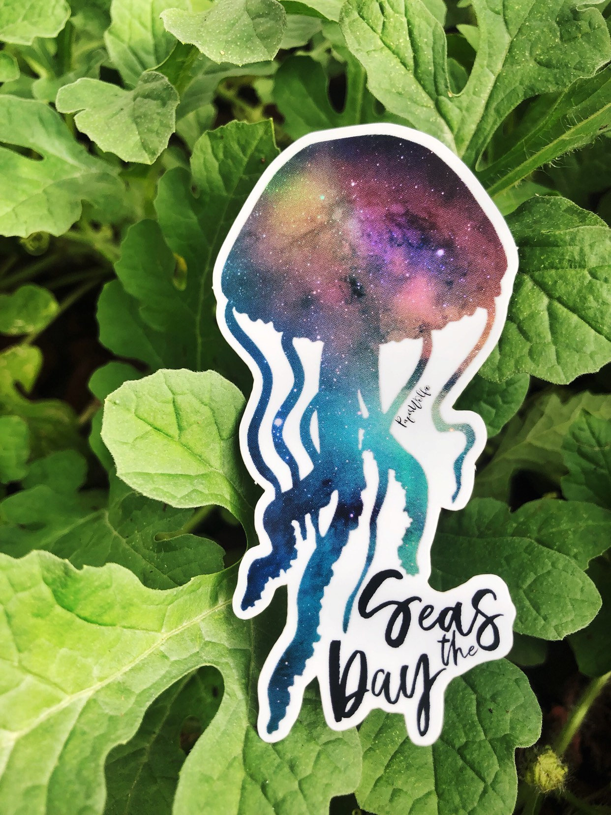 Holographic Galaxy Jellyfish Vinyl Sticker Seas the Day - Etsy