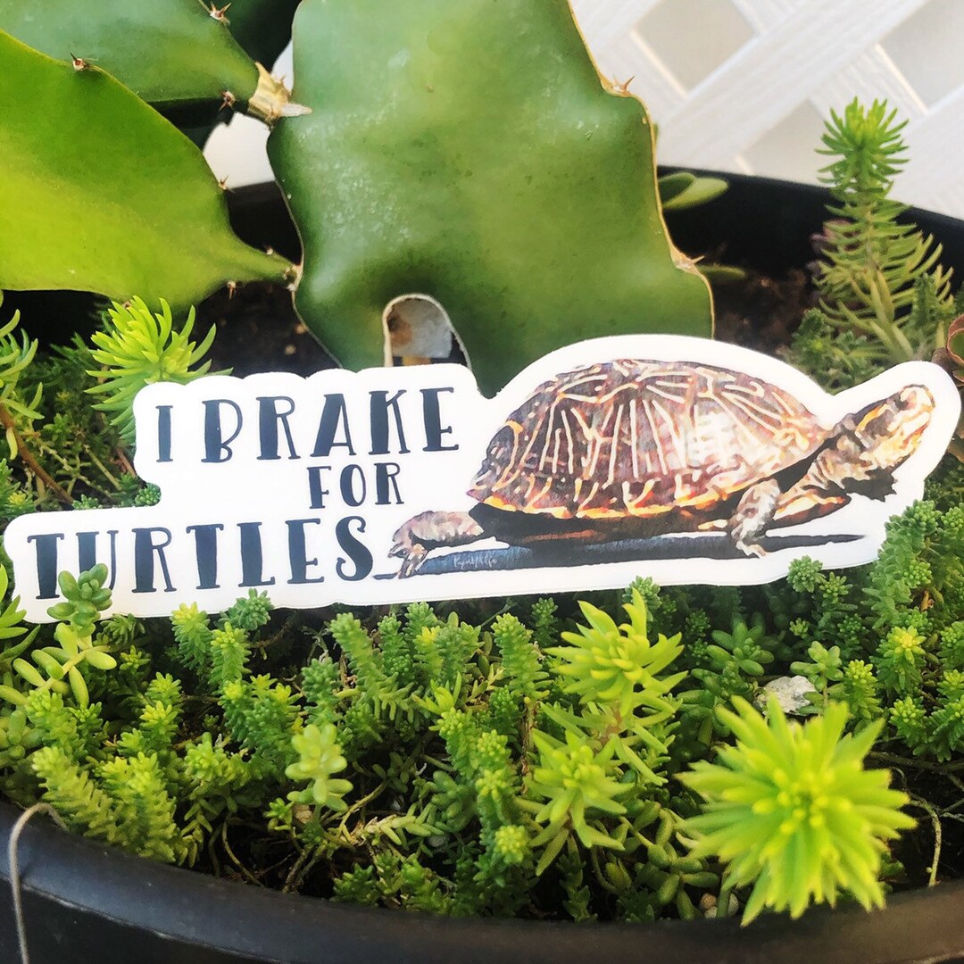 I Brake for Turtles - Vinyl Sticker | Bumper Sticker | Car Decal ...