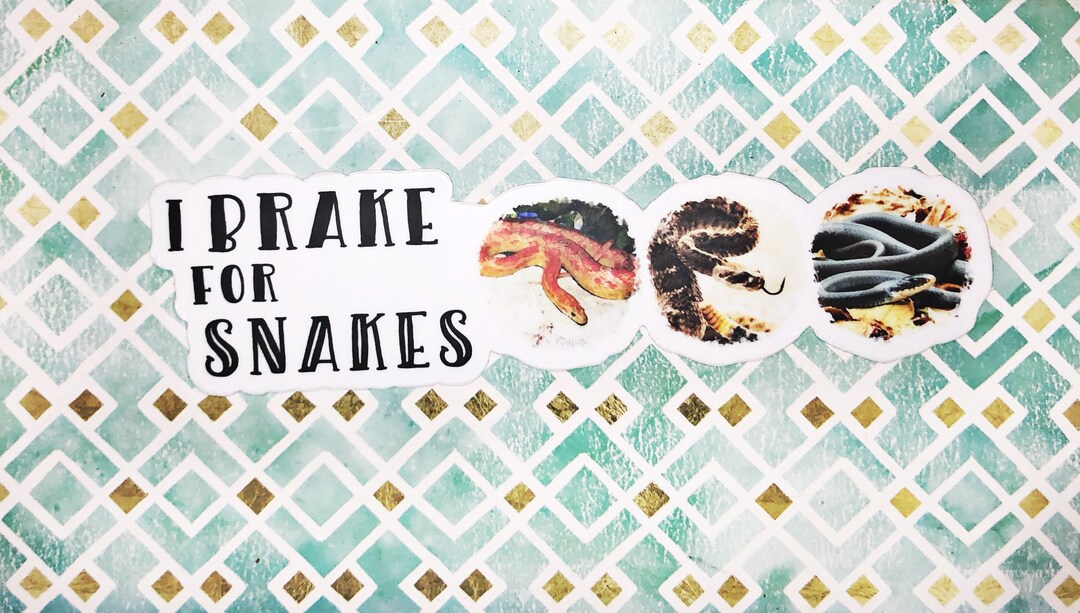 I Brake for Snakes - ~1.5 X 6" Vinyl Sticker | Bumper Sticker | Car ...