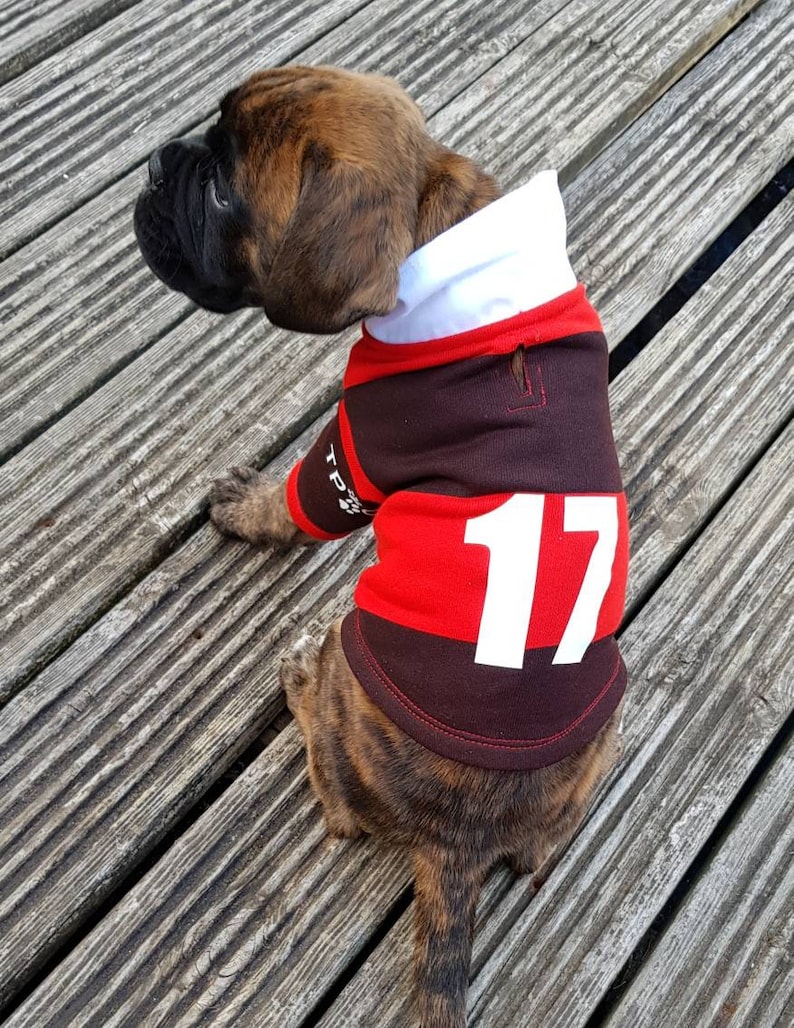 Dog Rugby Shirts. Dog Clothes. Dog Sweatshirts. Dog Outdoor - Etsy