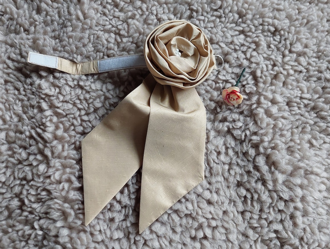Dogs Bridal Rosette & Tails, With Matching Velcro Band. Wonderful for ...