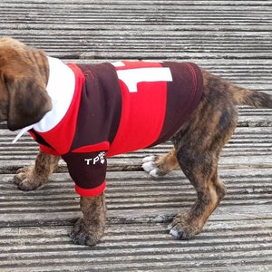Dog Rugby Shirts. Dog Clothes. Dog Sweatshirts. Dog Outdoor Attire ...