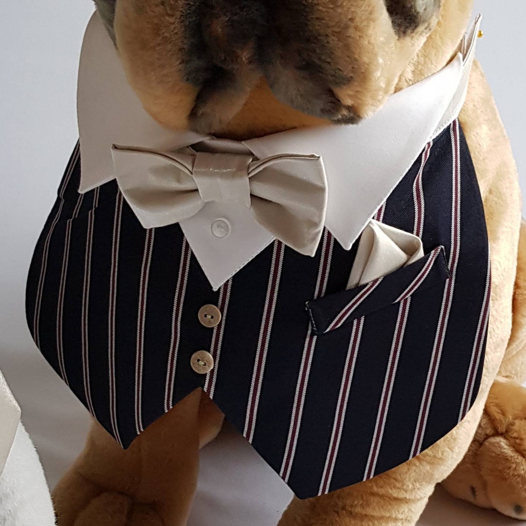 Dog Blue Pinstripe Waistcoat Style Bib With a Dickie Bow for - Etsy
