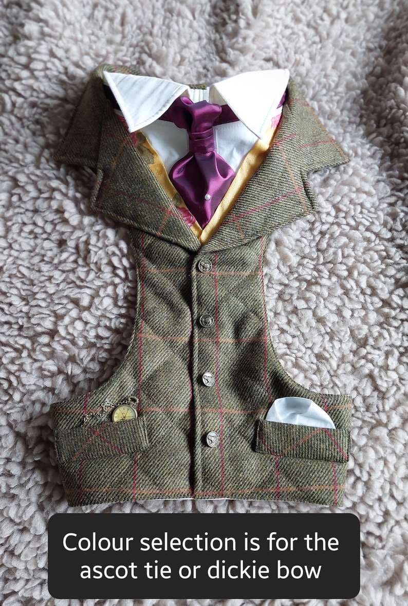 Dog Harness, for Male Dog, as Tweed Jacket Style ; With Silk Waistcoat ...