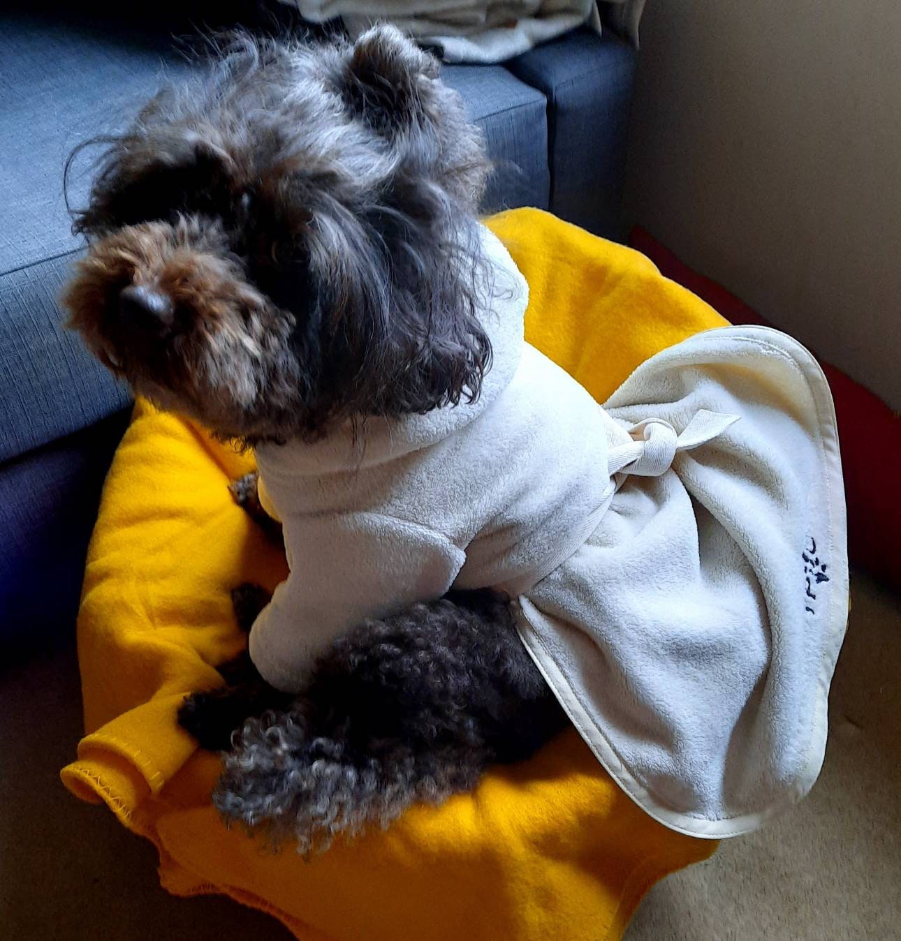 Dog Hood Bathrobe. Dog Hood Dressing Gown. Kids & Dogs | Etsy