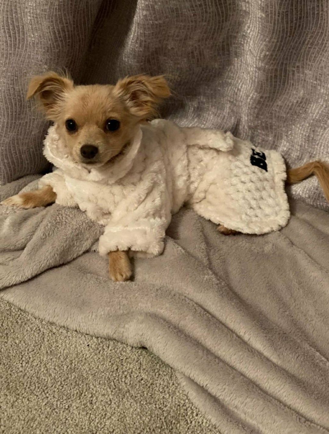 Plain Thick Luxury Waffle Texture Dog Dressing Gown/bathrobe. - Etsy