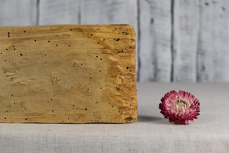 Antique Tool Washing / Rustic Tool for Washing Clothes / - Etsy