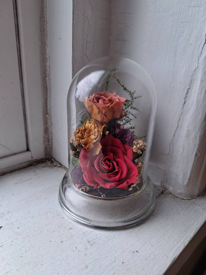 80s/90s Natural Expressions Dried Roses Glass Terrarium Dome - Etsy